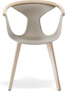 PEDRALI - Židle FOX 3725 - DS