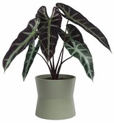 Keramický květináč ø 14 cm Diana – Artevasi