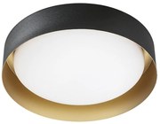 Linea Light 8302 Crew_2, stropní svítidlo s černo-zlatým límcem, 22W LED 3000K, prům. 40cm