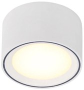Nordlux 47540101 Fallon, stropní LED 5,5W 2700K, tříkrokové stmívání, bílá, 10x6cm