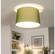 Brilagi - LED Přisazený lustr CERIA 1xE27/40W/230V pr. 45 cm zelená
