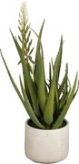 Mica Decorations Umělá rostlina aloe vera, výška cca 58 cm, pr. 38 cm