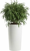 PLASTOVÝ KVĚTINÁČ URBANIKA ECO 75X41 CM BÍLÁ