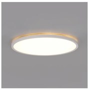 LED Koupelnové stropní svítidlo NIVERA LED/18W/230V IP54 pr. 30 cm bílá