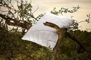 Ložnice21. Polštář Coolmax Origin pro rychlý odvod potu Rozměr: 70x90 cm zip+vak (1200 g)