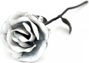 Keltská růže - bílá - L (21 cm)