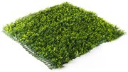 Umělý živý plot Hawaj Buxus High žlutý | Stěna 100 x 100 cm