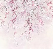Komar Vliesová fototapeta Kirschblüten 300 x 280 cm