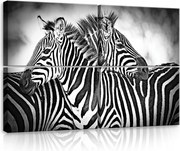 Obraz 120x80 Zebra pruhy černobílé safari zvířata příroda vzor grafika