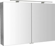 Sapho Riwa - Zrcadlová skříňka s LED osvětlením 101x70x17 cm, dub stříbrný RIW100-0011