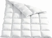 XXXLutz ZIMNÍ PŘIKRÝVKA, 155/220 cm, kachní prachové peří, kachní peří Sleeptex - Přikrývky - 005032004002