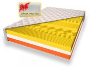 proPOSTELE Matrace zdravotní PREMIUM 25 cm 100 x 200 cm AloeVera Polštář