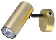 Kovové bodové svítidlo ve zlaté barvě 8x16 cm Colly – Candellux Lighting