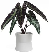 Keramický květináč ø 20 cm Diana – Artevasi