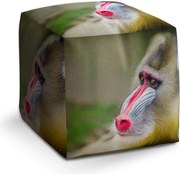 Sablio Taburet Cube Mandril - 50x50x50 cm