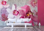 Fototapeta na míru Smyslné Orchideje | Vliesová fototapeta na zed' | DFTNXXL1148