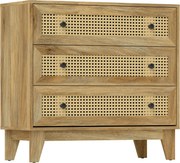 HOMCOM Úložný kabinet s 3 zásuvkami z ratanu 80 x 35 x 76 cm v jemném dřevěném vzhledu | Aosom