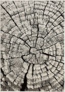 Breno Kusový koberec PHOENIX 6021 - 0244, 200x300 cm, Hnědá/Vícebarevné