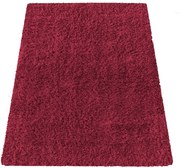 DY Červený neklouzavý koberec shaggy Camel Rozměr: 200x290 cm