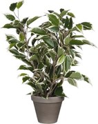 Mica Decorations Umělá květina Ficus Natasaja 40 cm