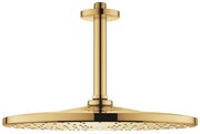 Grohe Rainshower Mono - Hlavová sprcha, průměr 31 cm, Cool Sunrise 26560GL0