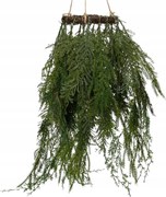 Dekorace Thuja věnec na zavěšení 20x70 cm Homla