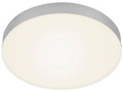Briloner 7066-014 - LED Stropní svítidlo FLAME LED/21W/230V 3000K pr. 28,7 cm