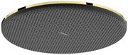 Hansgrohe Raindance Alive S - Hlavová sprcha, průměr 30 cm, leštěný vzhled zlata 24520990