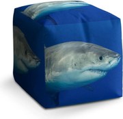 Sablio Taburet Cube Žralok - 50x50x50 cm