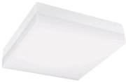 LED Koupelnové stropní svítidlo LED/12W/230V 3000/4000/6000K 22x22 cm IP44