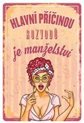 Retro plechové cedule Plechová cedule Hlavní příčinou rozvodů je manželství BU20035