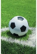 Zelená fleecová dětská deka 100x150 cm Football – Jerry Fabrics
