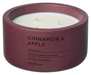 Vonná sojová svíčka doba hoření 25 h Fraga: Cinnamon & Apple – Blomus