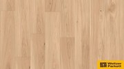 Weitzer Parkett Weitzer Plank 1800 dřevěná olejovaná podlaha oak pure 11mm 62222