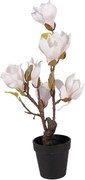 Dekorační stromek Magnolia s narůžovělými květy - 12*12*40 cm