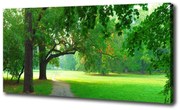 Wallmuralia Foto obraz na plátně Podzimní park 100x50