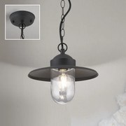 Orion AL 11-1318 - Venkovní závěsné svítidlo EDWARD 1xE27/60W/230V IP44 antracit