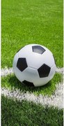 Zelená bavlněná dětská osuška 70x140 cm Football – Jerry Fabrics
