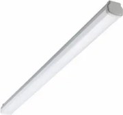 PHILIPS P360102