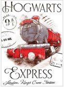 Dětský ručník Harry Potter - motiv Bradavický Express - 100% bavlna - 30 x 50 cm