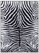 Dywany Łuszczów, Kusový koberec Miro 51331.803 Zebra black / white, 120x170, černobílá, chodba / předsíň