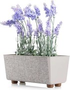 Truhlík s nožičkami Salvia 28,5x17 cm - výběr z 6 provedení