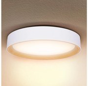 Brilagi -LED Stmívatelné svítidlo LARIOS LED/60W/230V 3000-6500K pr. 49 cm bílá+DO