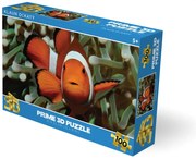 Puzzle 3D - Klaun očkatý