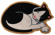 Rohožka z kokosového vlákna 40x60 cm Cat – Casa Selección