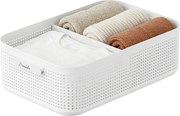 Rotho Úložný box do skříně, šatní organizér LISORA - L, 49,4 × 31 × 15 cm