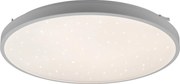 Livarno® Stropní LED svítidlo s nastavitelnou barvou světla (bílá)