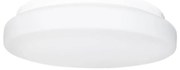 ByRydens 4201830-5002-Koup. stropní svítidlo OCEAN 1xE27/40W/230V IP44 pr. 25 cm