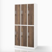 Šatní skříňka BOZP 6dveřová bílá/ořech, 900x1850x450 mm: IGOR Eco Design
