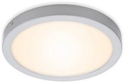 Briloner 7141-014 - LED Stropní svítidlo FIRE LED/21W/230V 3000K